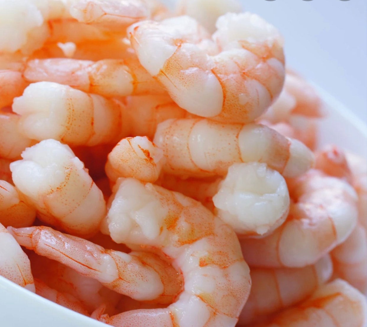 Ice Shrimp | Jiggs -n- Reels Seafood Market